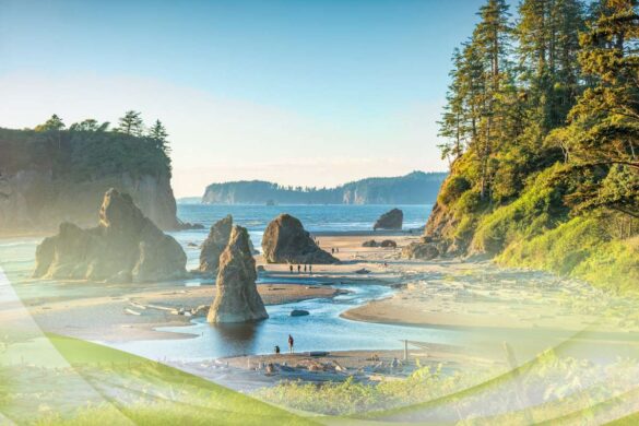 Queensland Chennai Ticket Price 2025 - Go Plan Ready